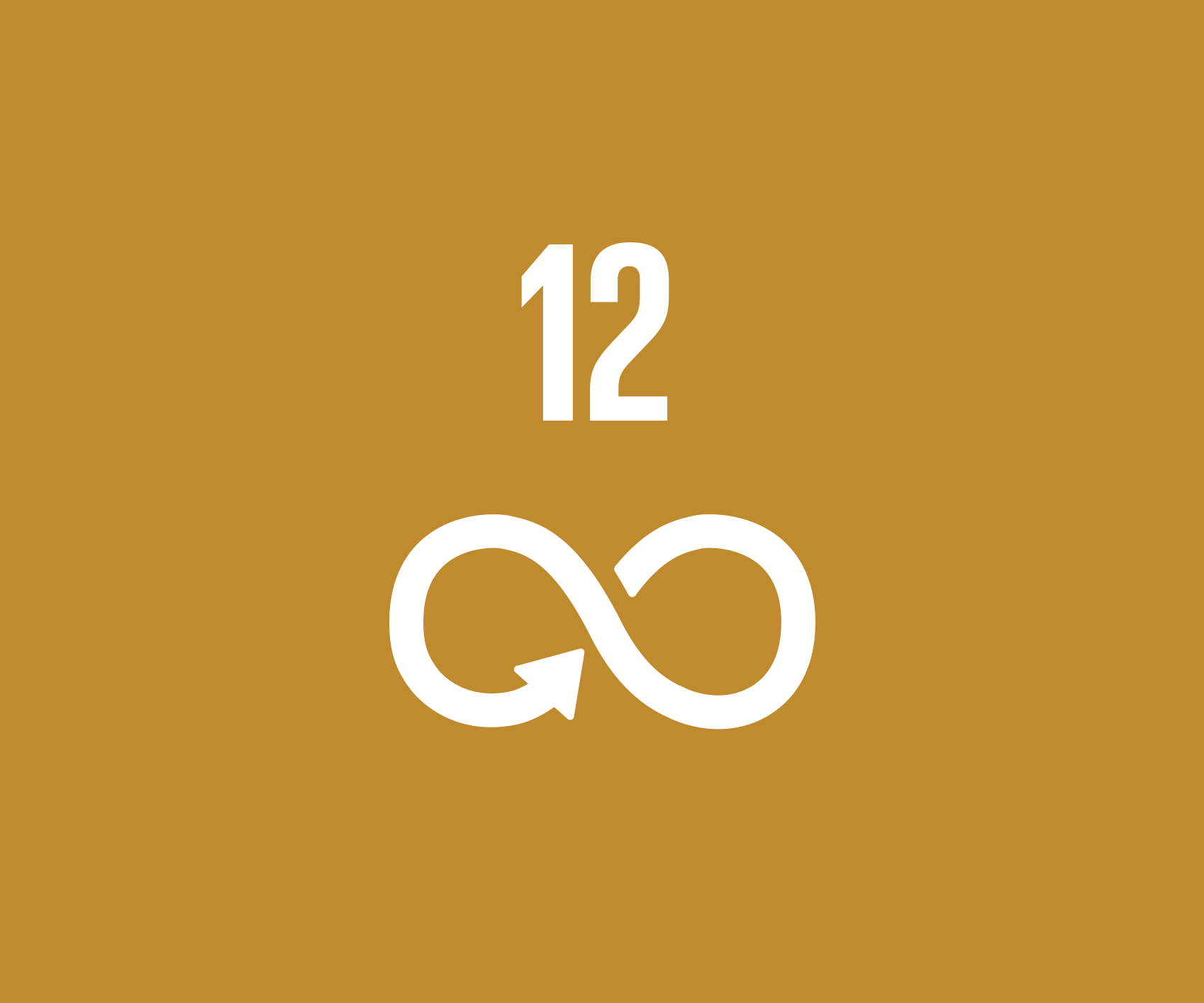 Goal 12: Responsible Consumption and Production | The Global Goals